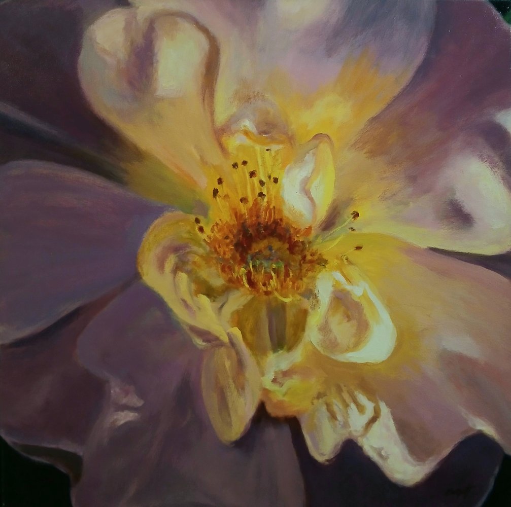 Wild Rose #2, In the Shadows | helloart