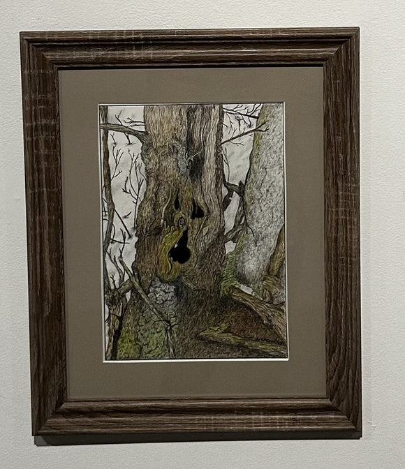 The Screaming Tree of Algonquin Park | helloart