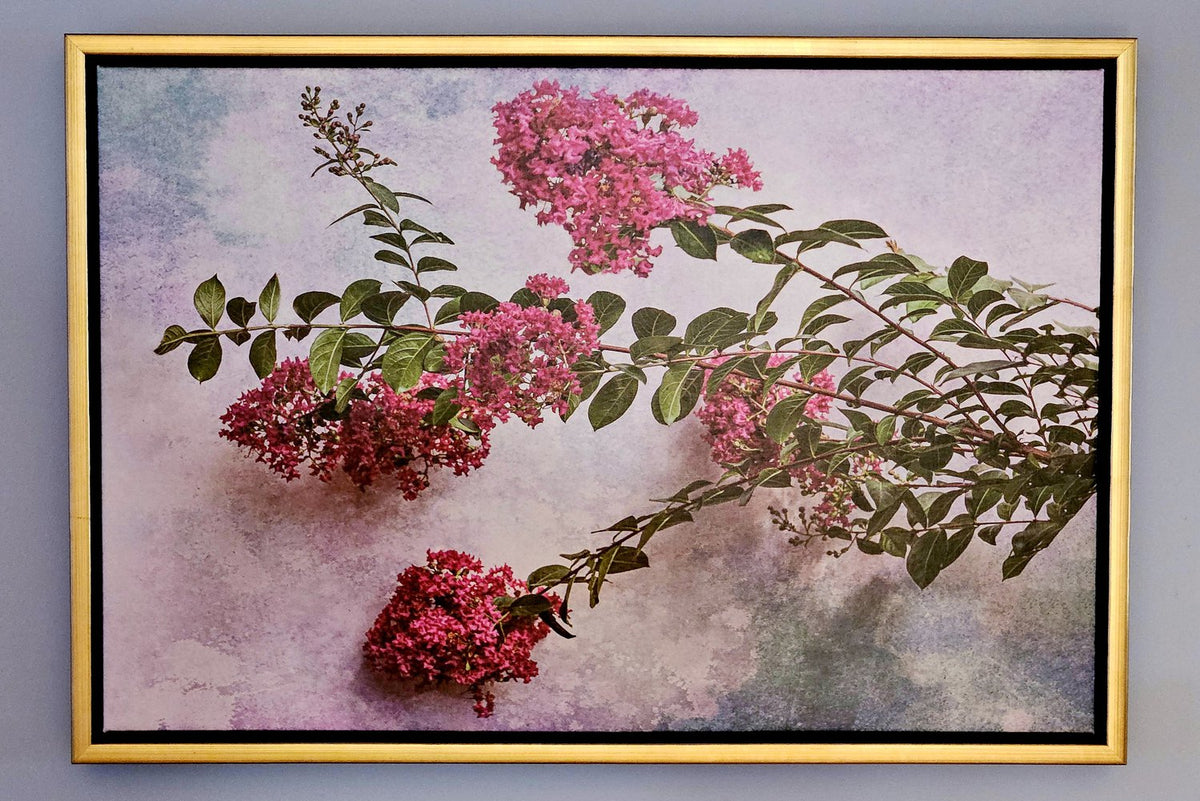 Crepe Myrtle | helloart