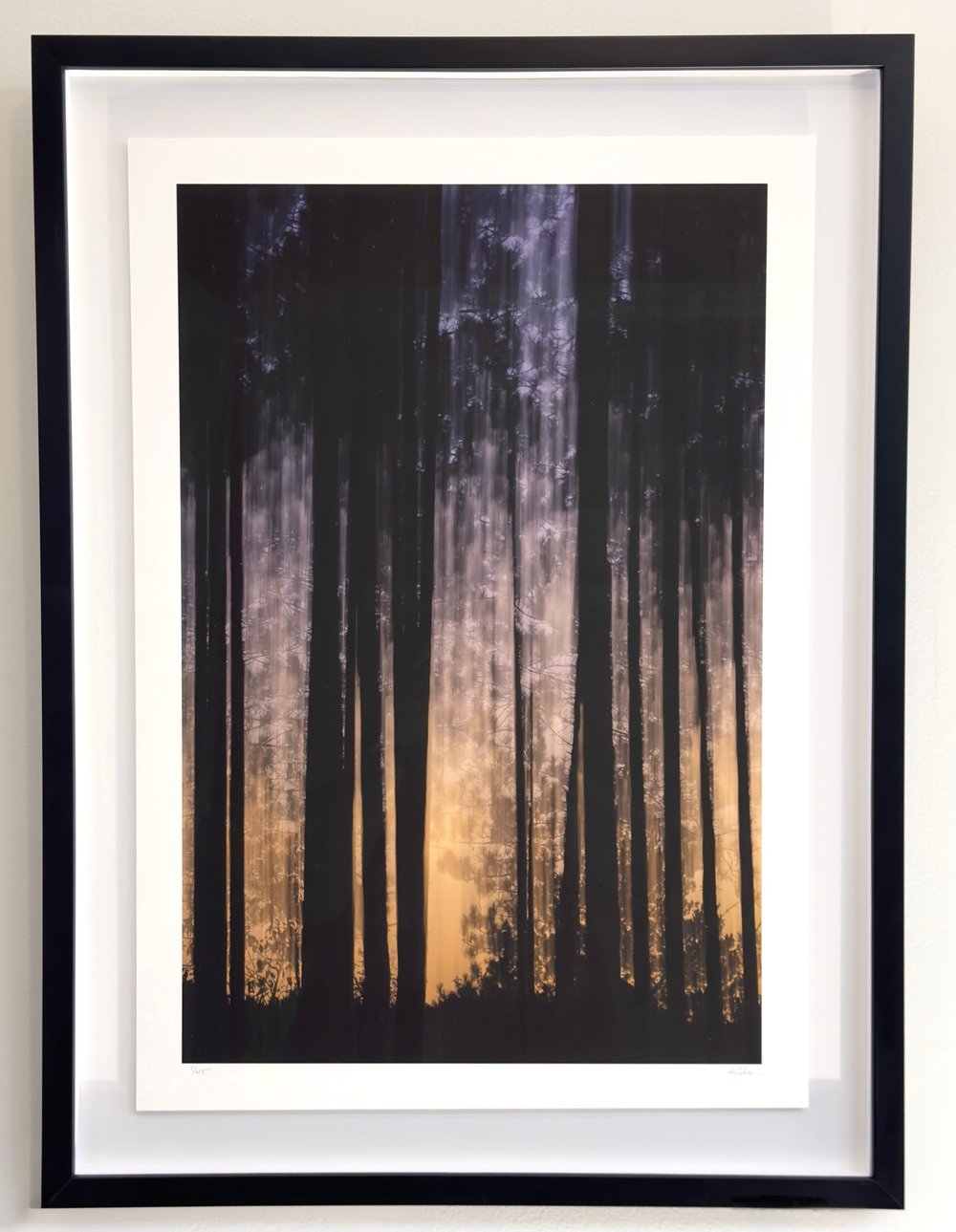 Spirit of the Pines | helloart