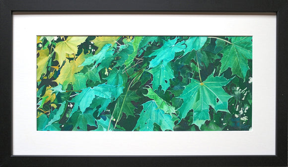 Light through the maples | helloart