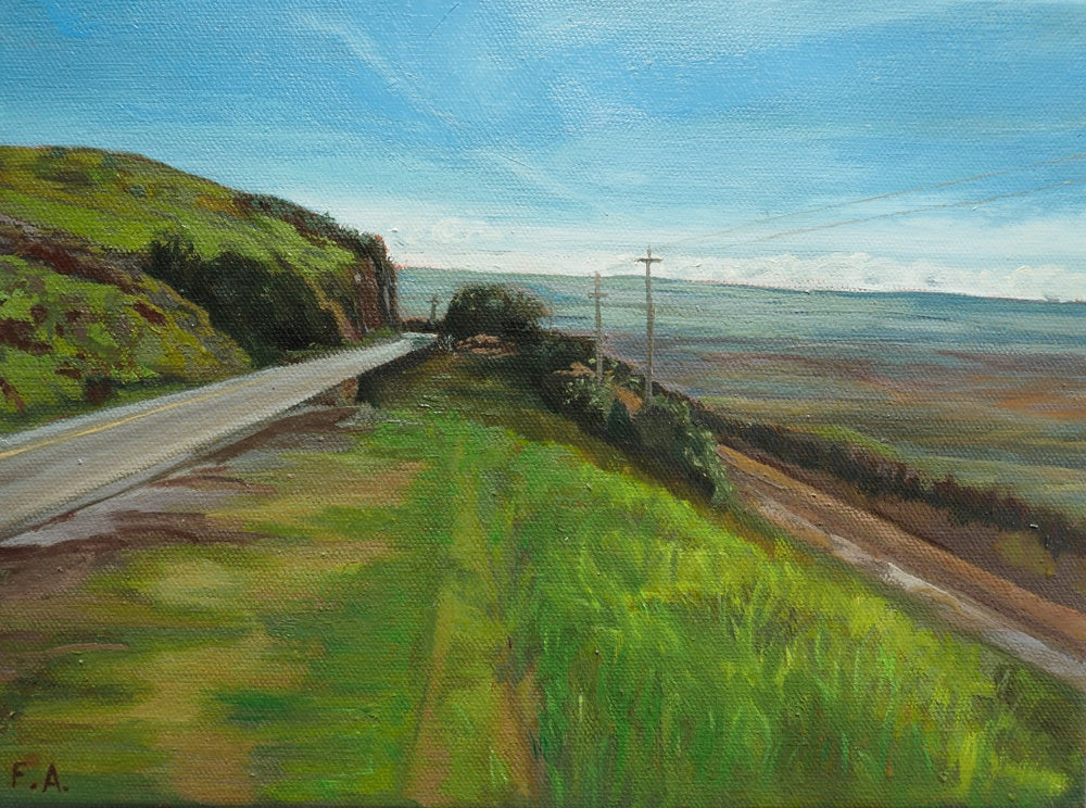 Rolling hills of Waimea, The Big Island Of Hawaii | helloart
