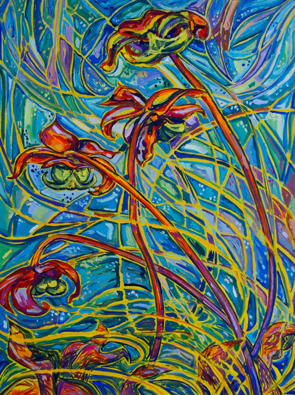 Pitcher Plant V | helloart