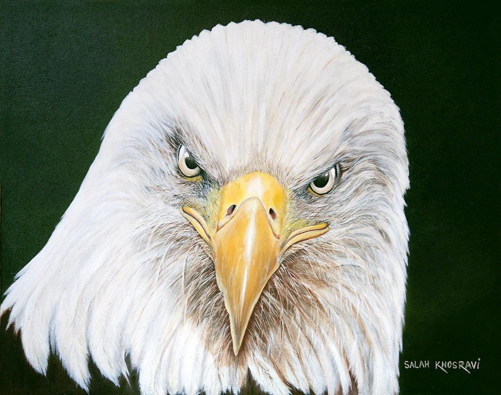 Observant Eyes | helloart