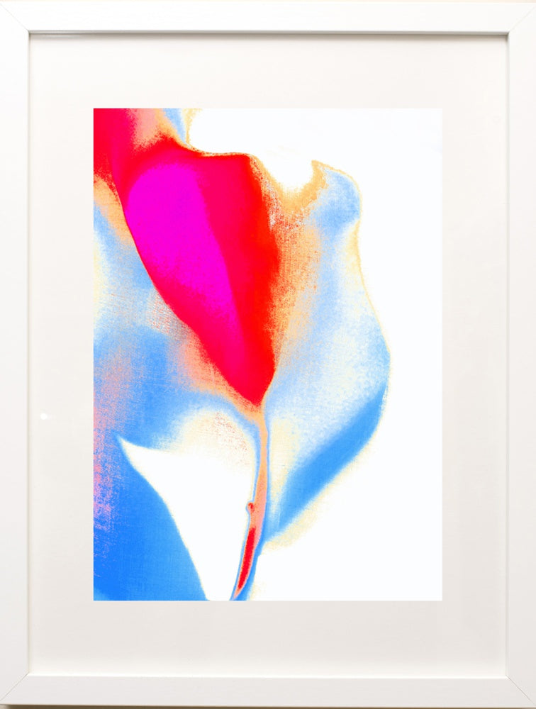 tulip I | helloart
