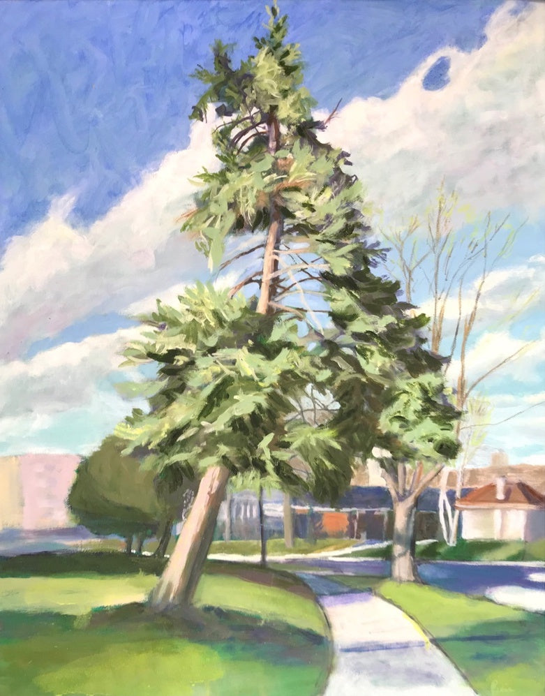 The Old General of Woodvalley | helloart