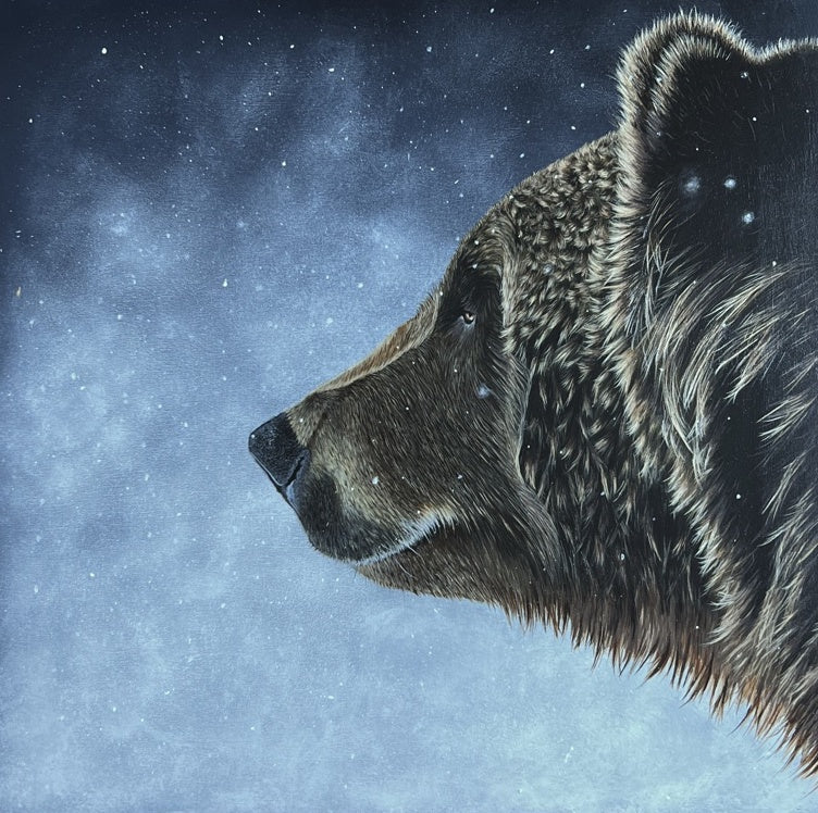 Snow Bear | helloart