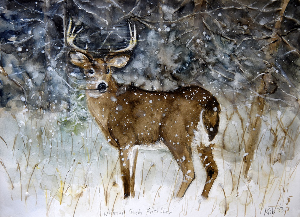 White-tailed Buck, First Snow | helloart