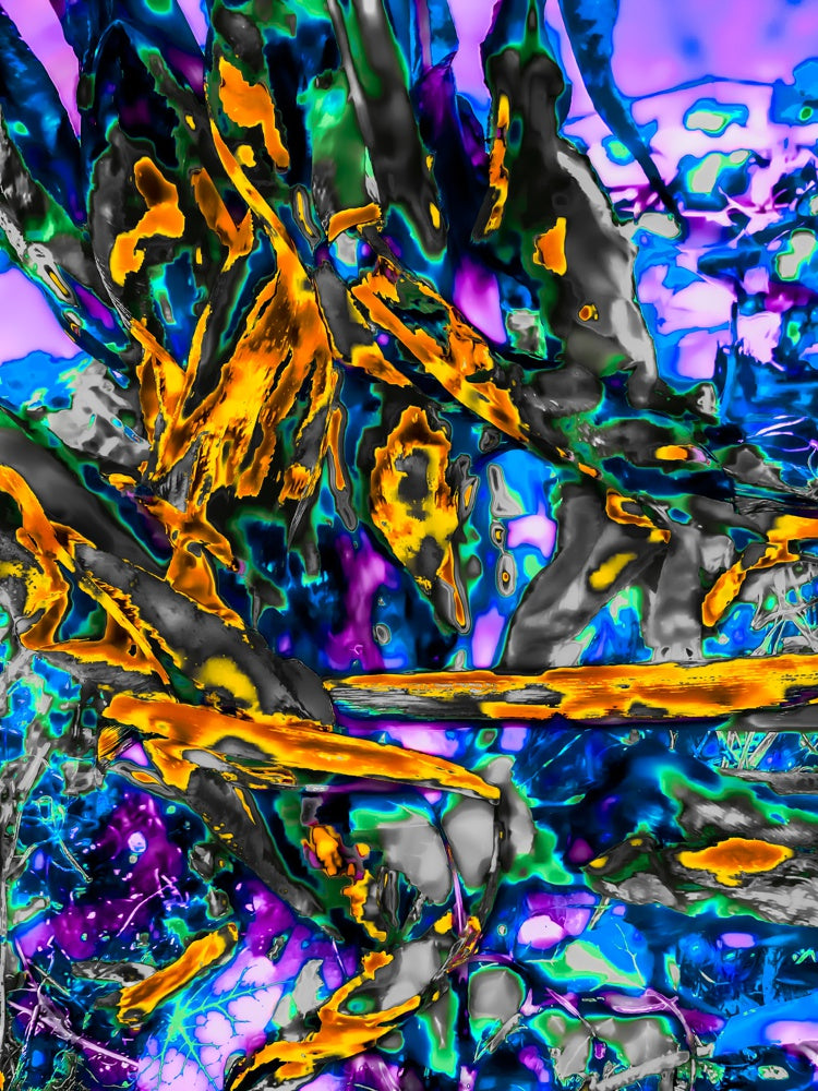 Bending and Bracing in the Branches | helloart