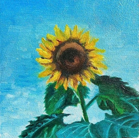 Sunflower | helloart