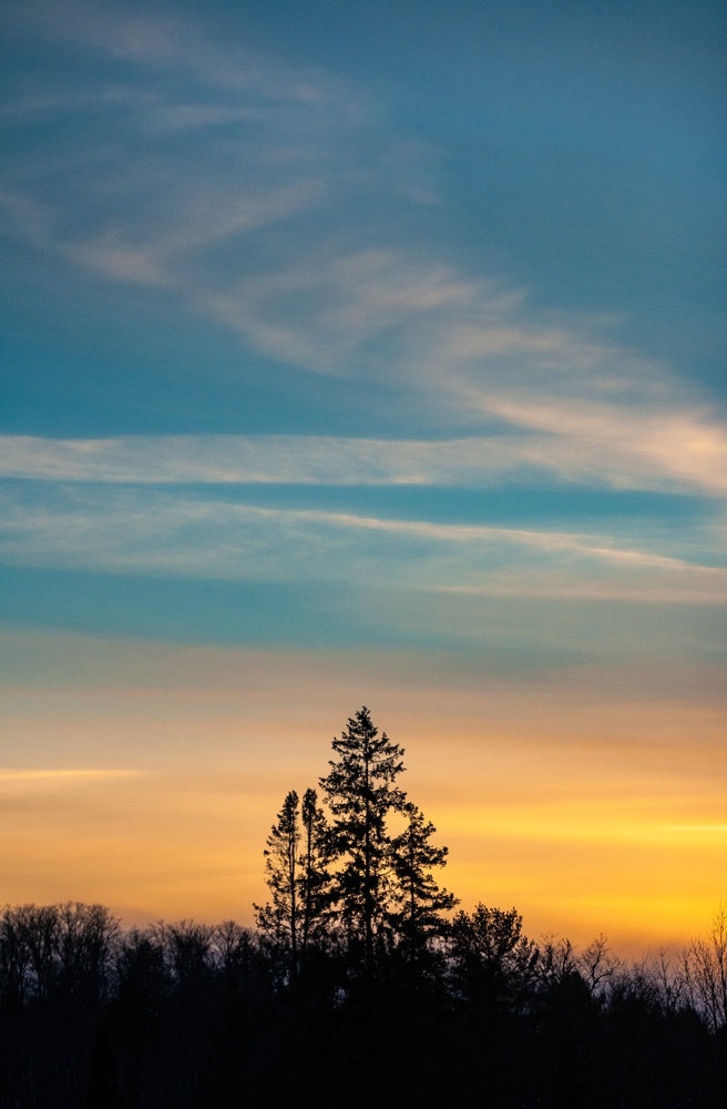 Sunset Silhouette | helloart