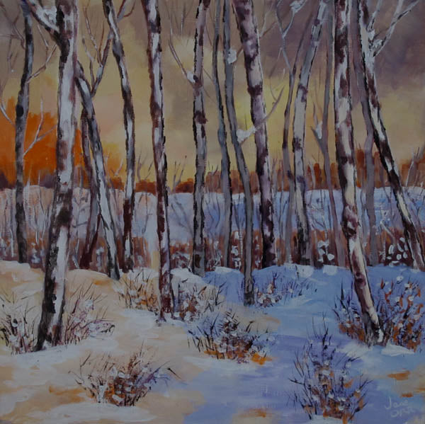 Birch Trees 2 | helloart