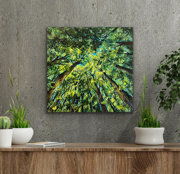 Looking Up Summer | helloart