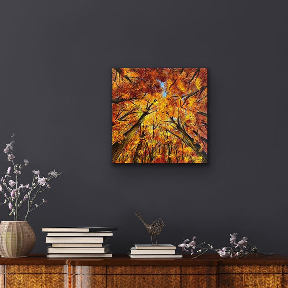 Looking Up Fall | helloart