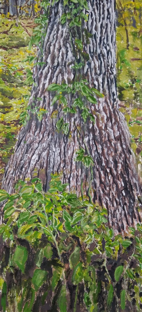 Oak Tree With Invasive Vine | helloart