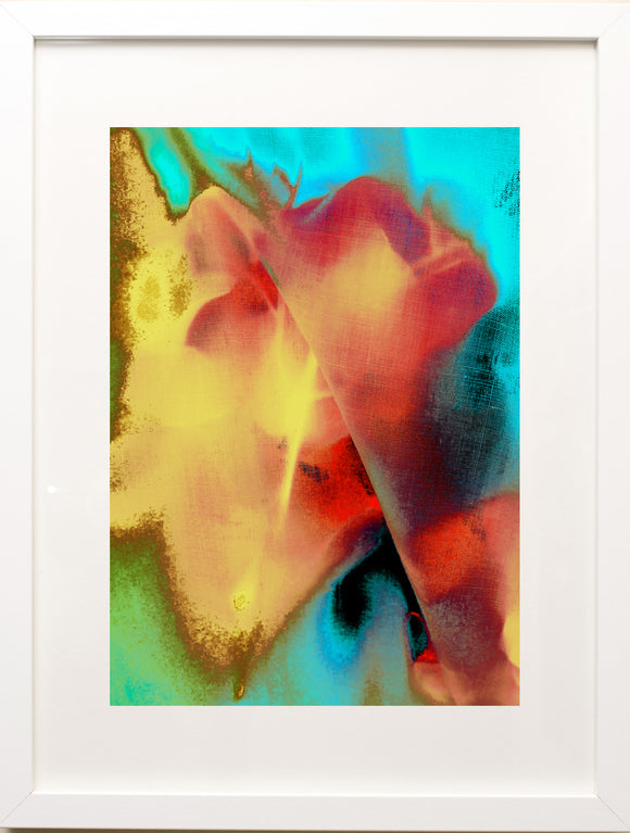 red rose 4 | helloart